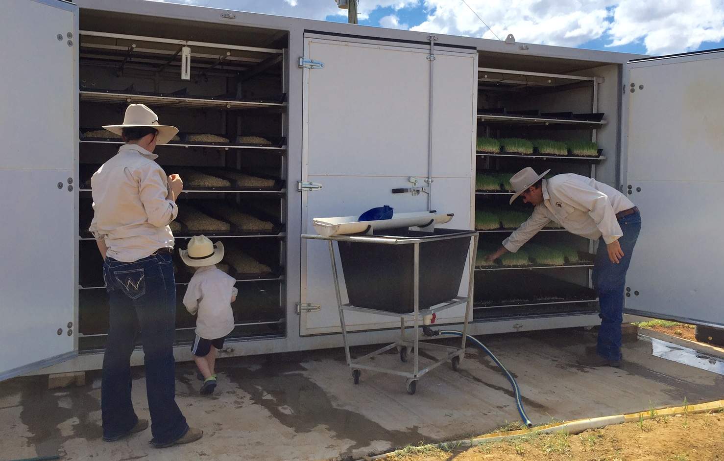 Fodder factory helps drought-proof western Queensland property - ABC News