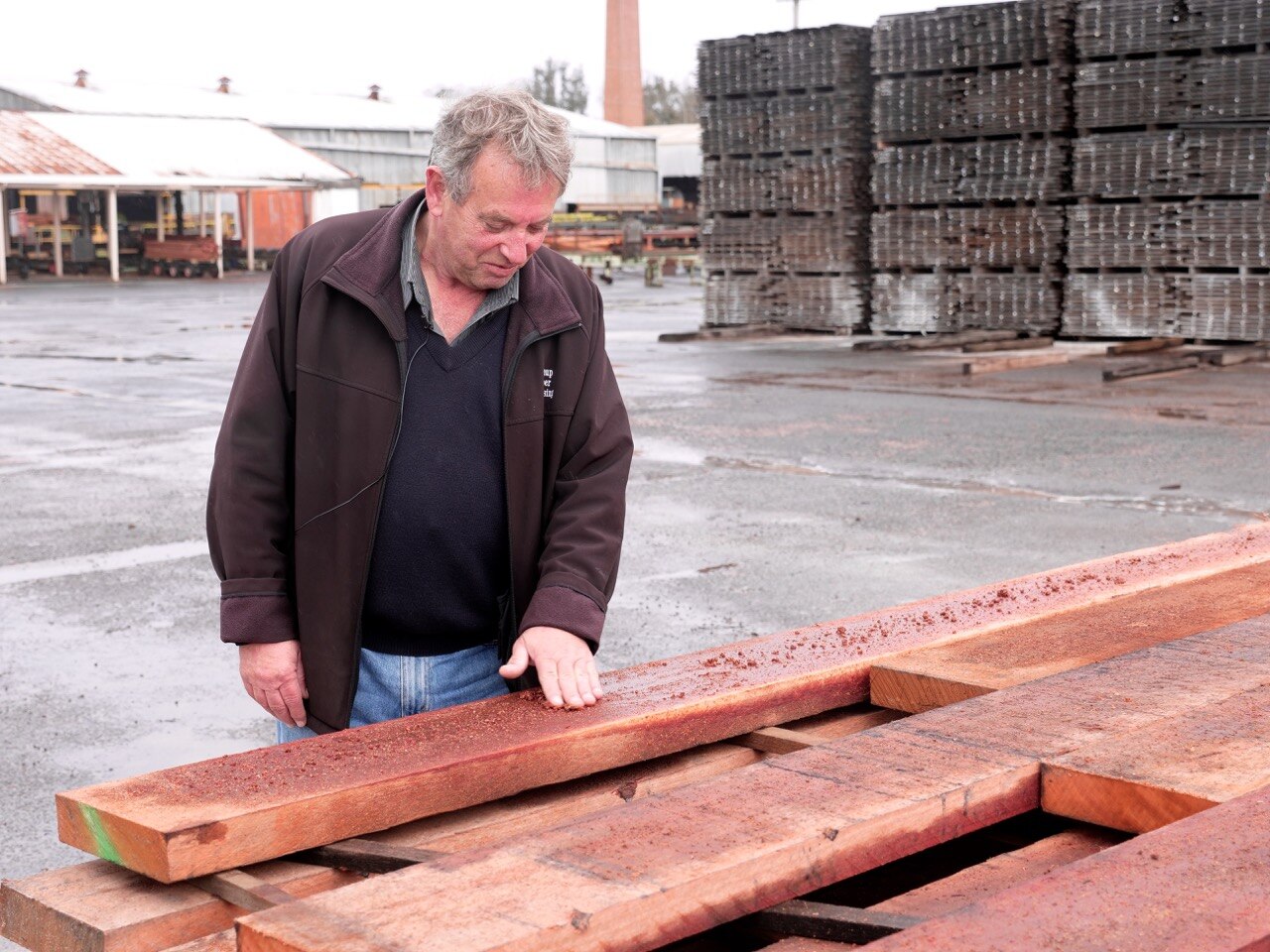 Timber industry revival: WA town unveils one of the biggest timber ...