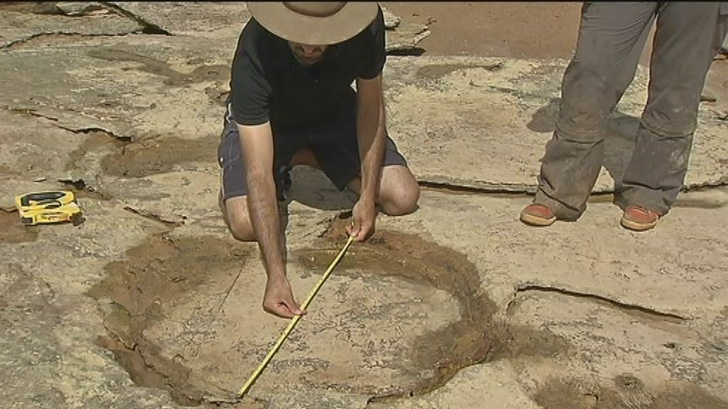 Dinosaur footprints study - ABC News