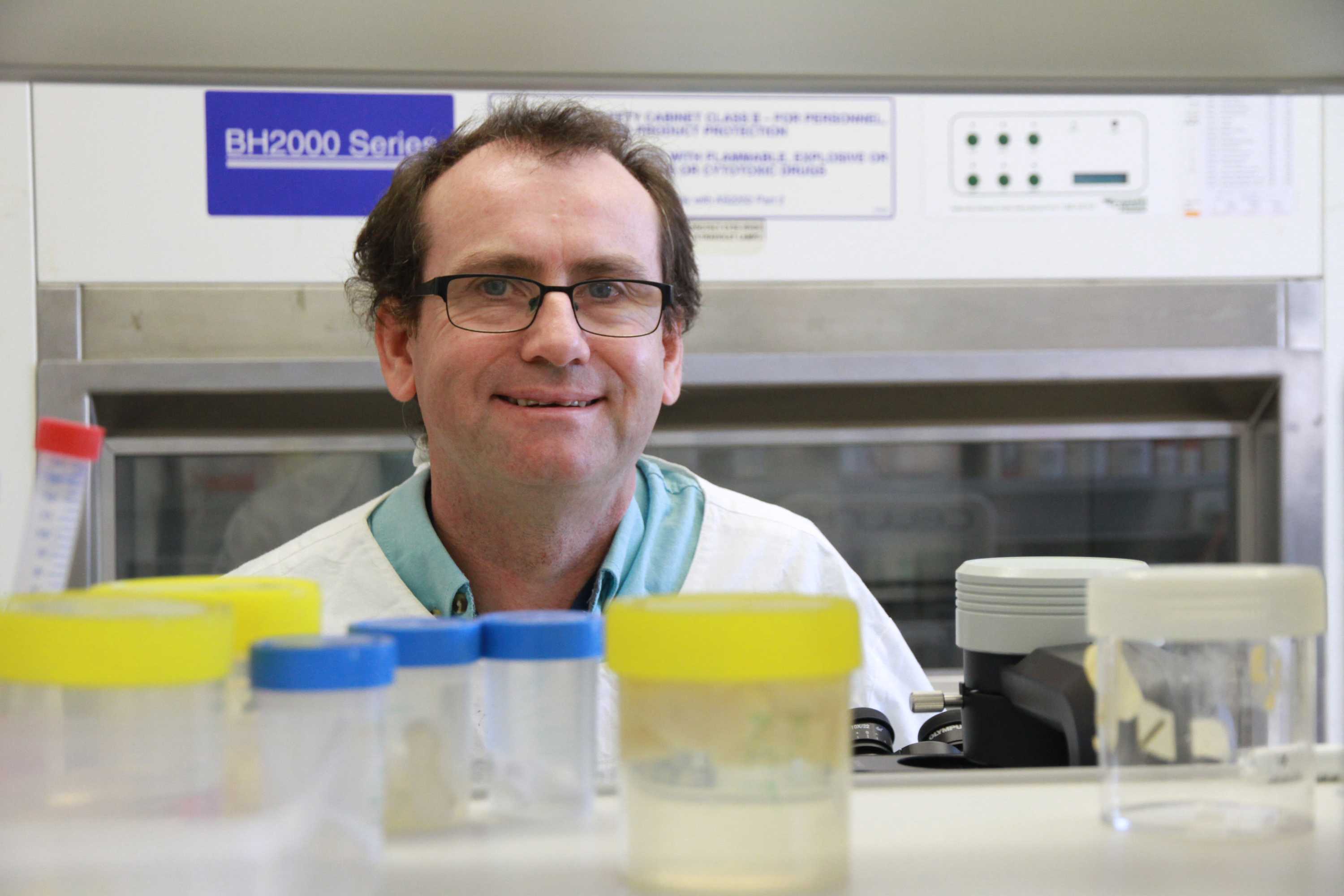 Crocodile cartilage holds key to future of human joint repair ...