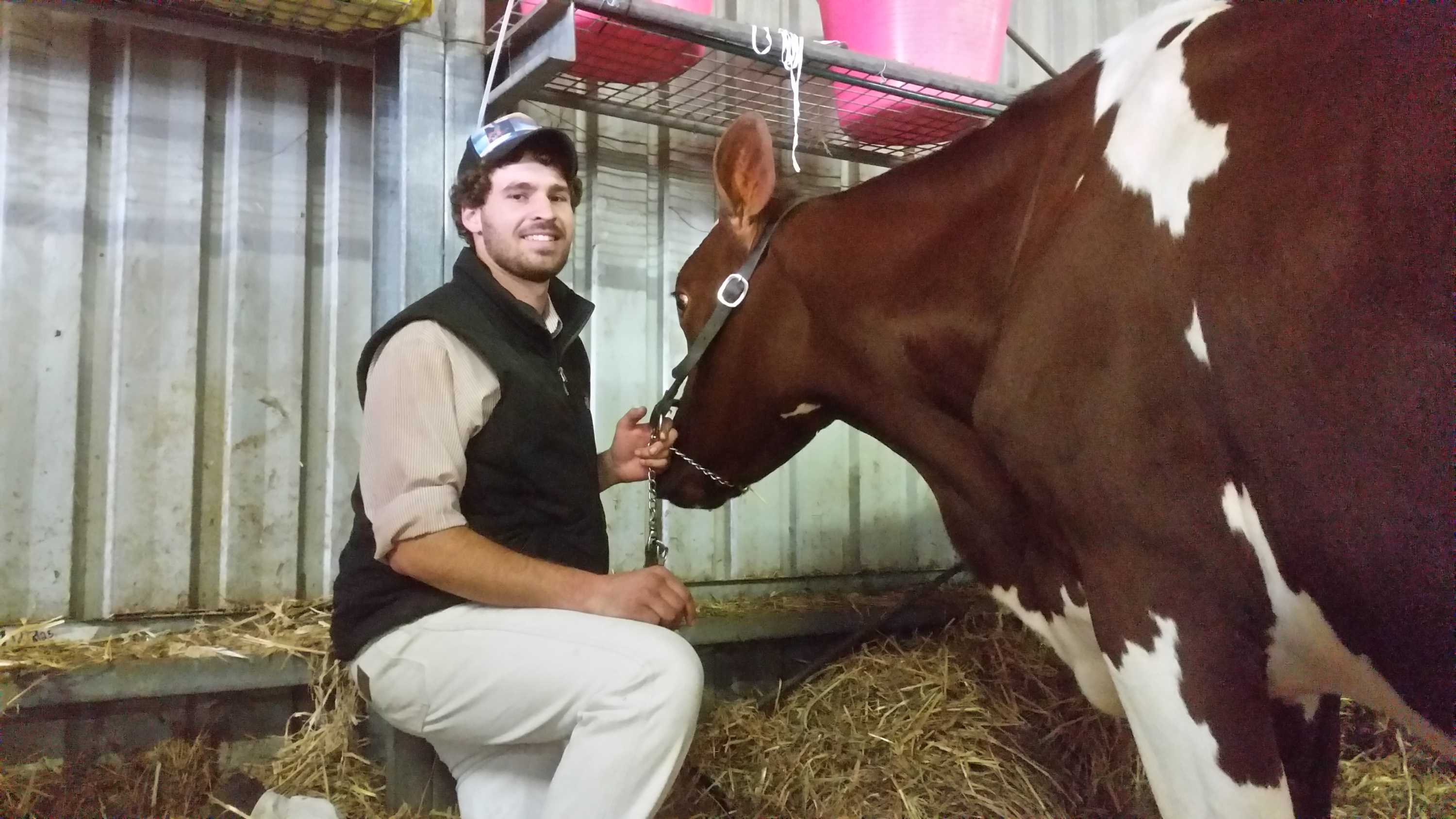 Innovation, genetics and export opportunities keep young Queensland ...