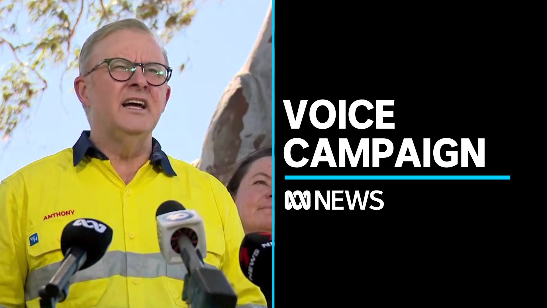 Anthony Albanese Confident In Winning Referendum Despite Grim Polling