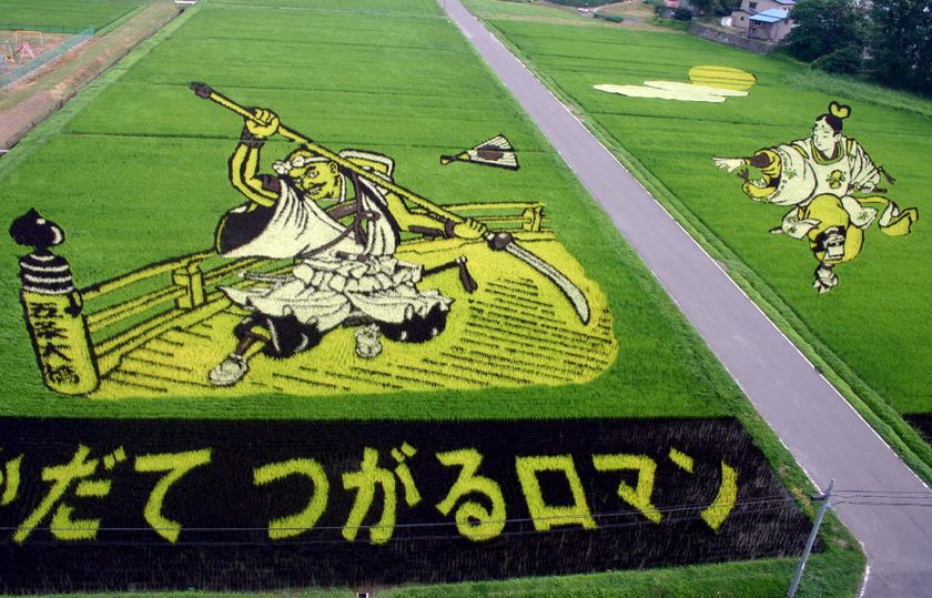 Rice paddy art puts village on the map - ABC News