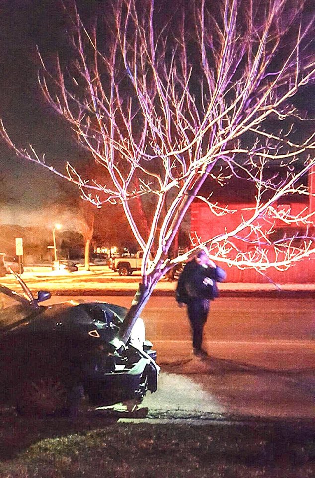 Police arrest drunk motorist driving with 15-foot tree lodged in car ...