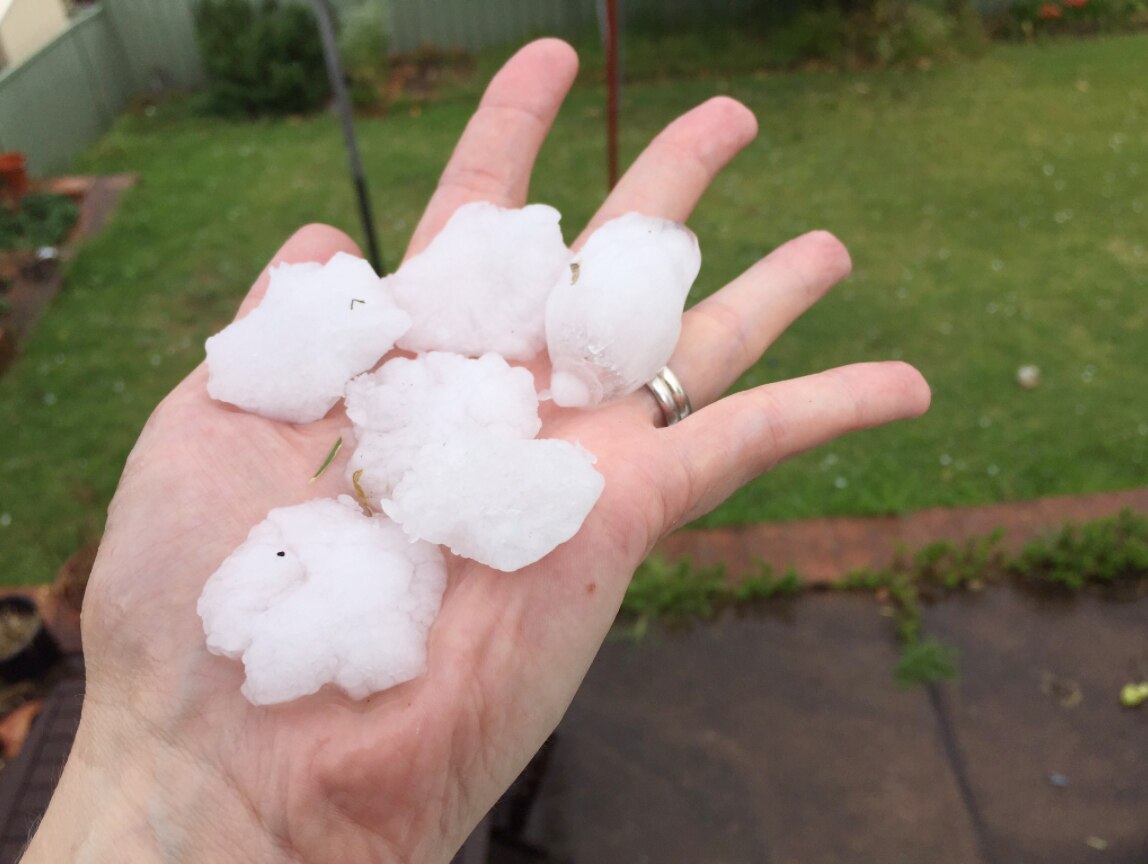BOM thunderstorm warnings issued for parts of NSW and Sydney as 5cm ...