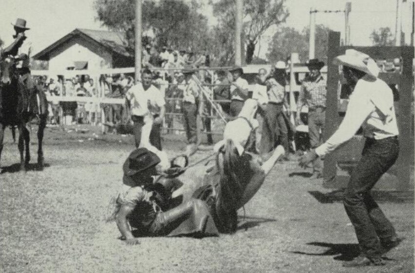 World's oldest cowboy Bob Holder vows return to rodeo after health ...