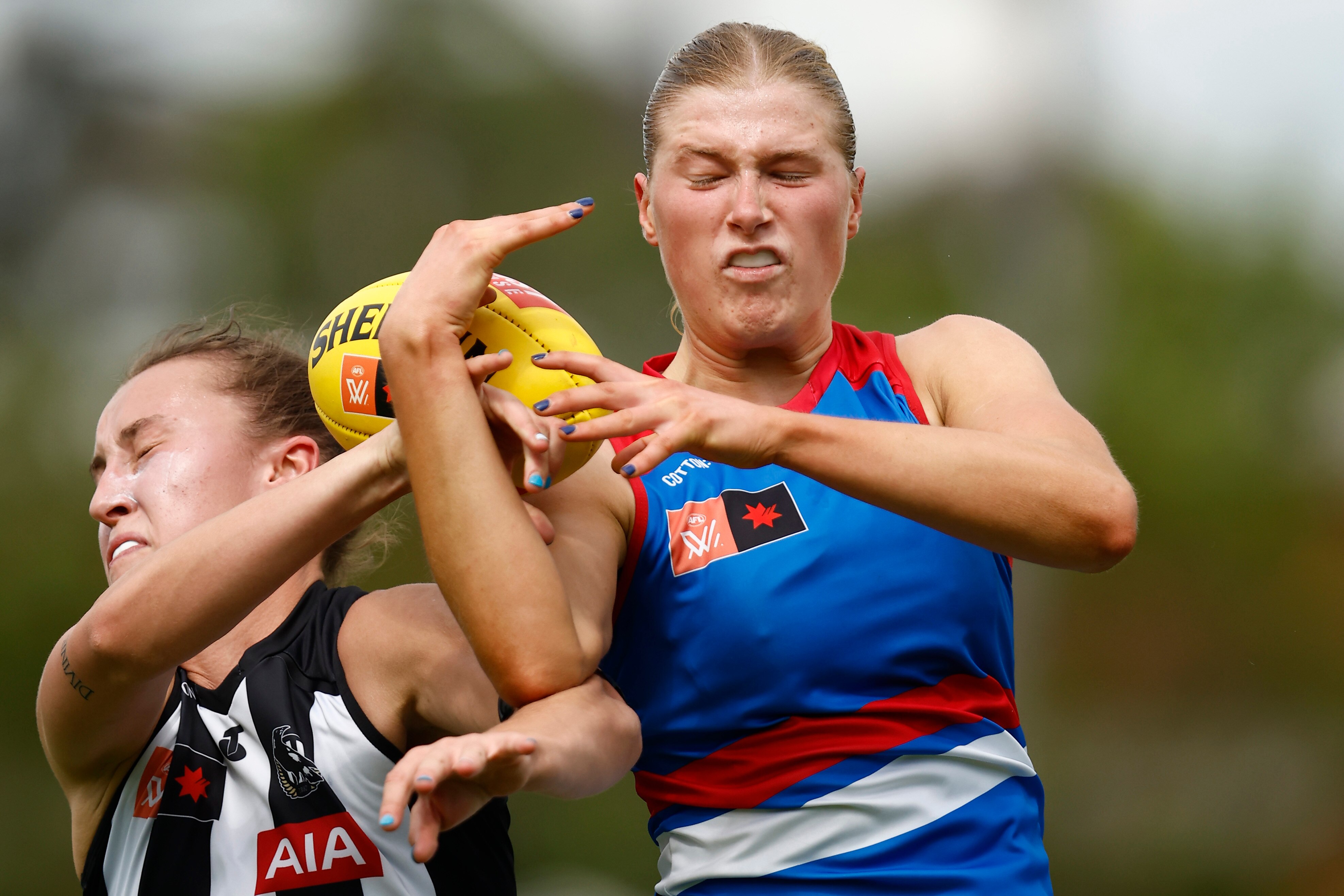 Collingwood wins through to AFLW semi-final, beats Western Bulldogs by ...