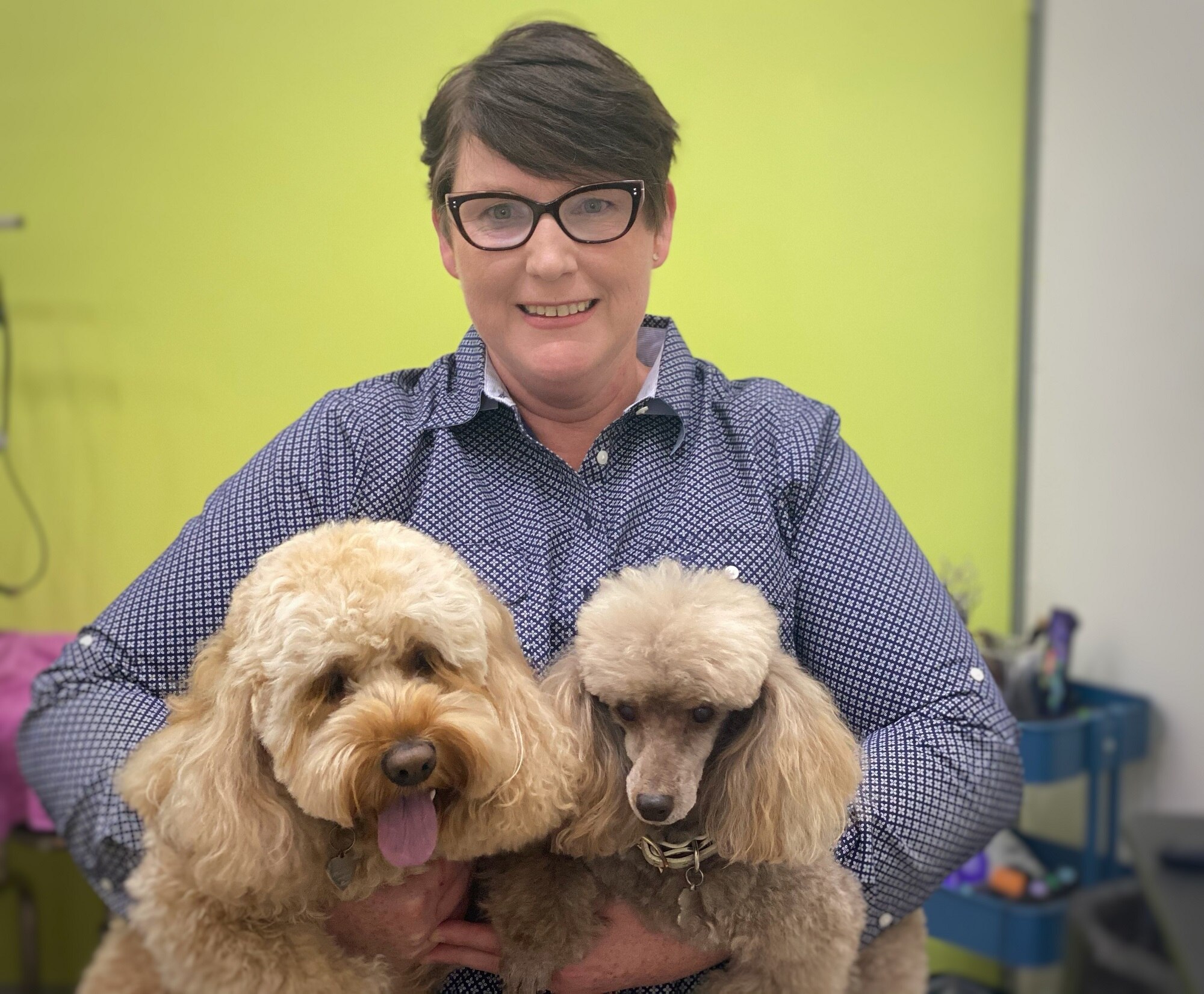 Do you prefer pets to people? So do about a third of Australians ...