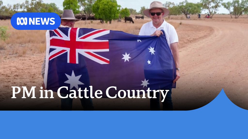 Prime minister visits NT's cattle country on pre-election campaign ...