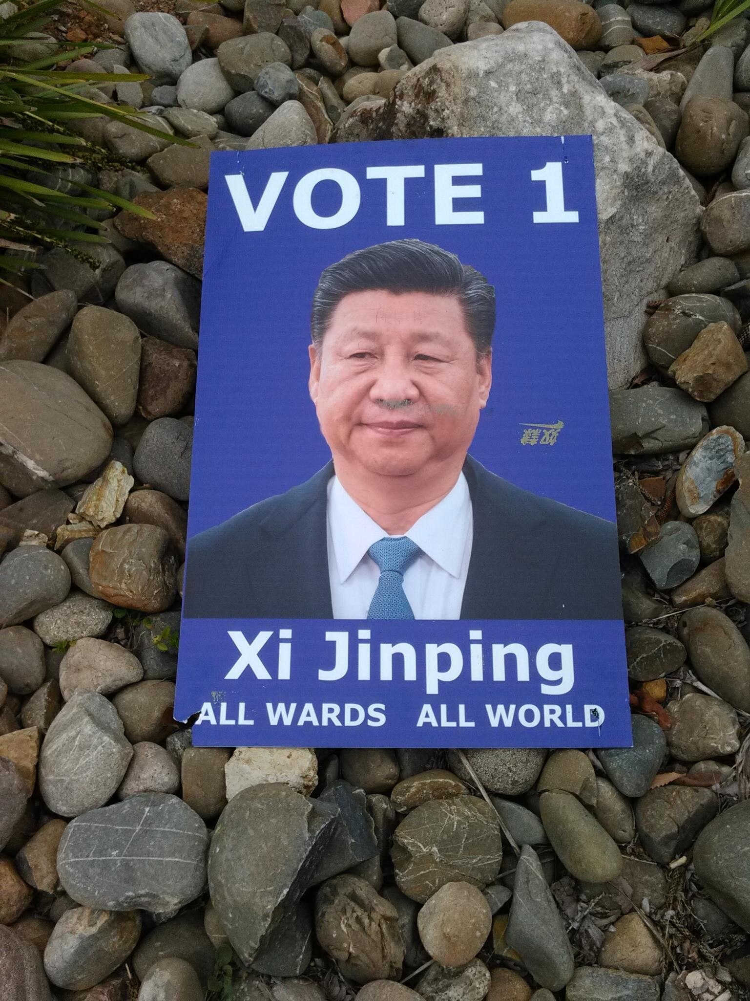 Mysterious fake campaign posters of China's president appear on ...