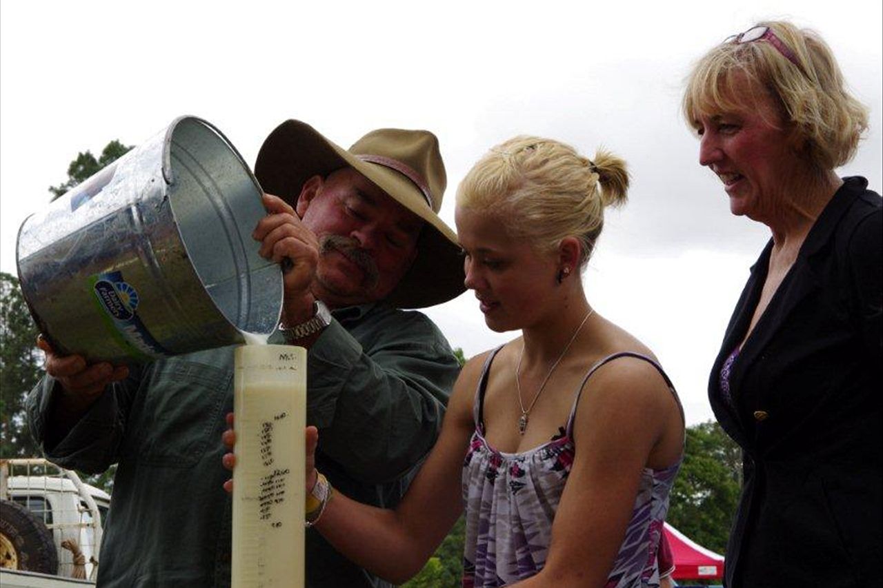 Milk flies fast and furious at Malanda Show hand-milking competition ...