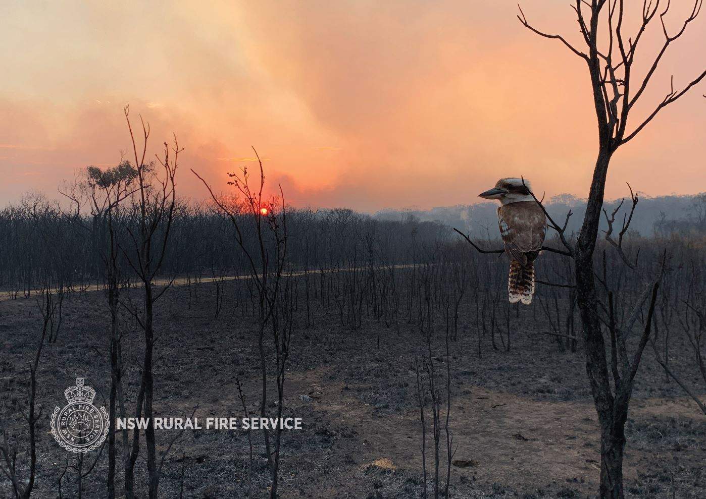 Australia's bushfire crisis in pictures - ABC News