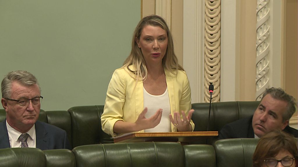 Labor MP Jonty Bush on coercive control - ABC News