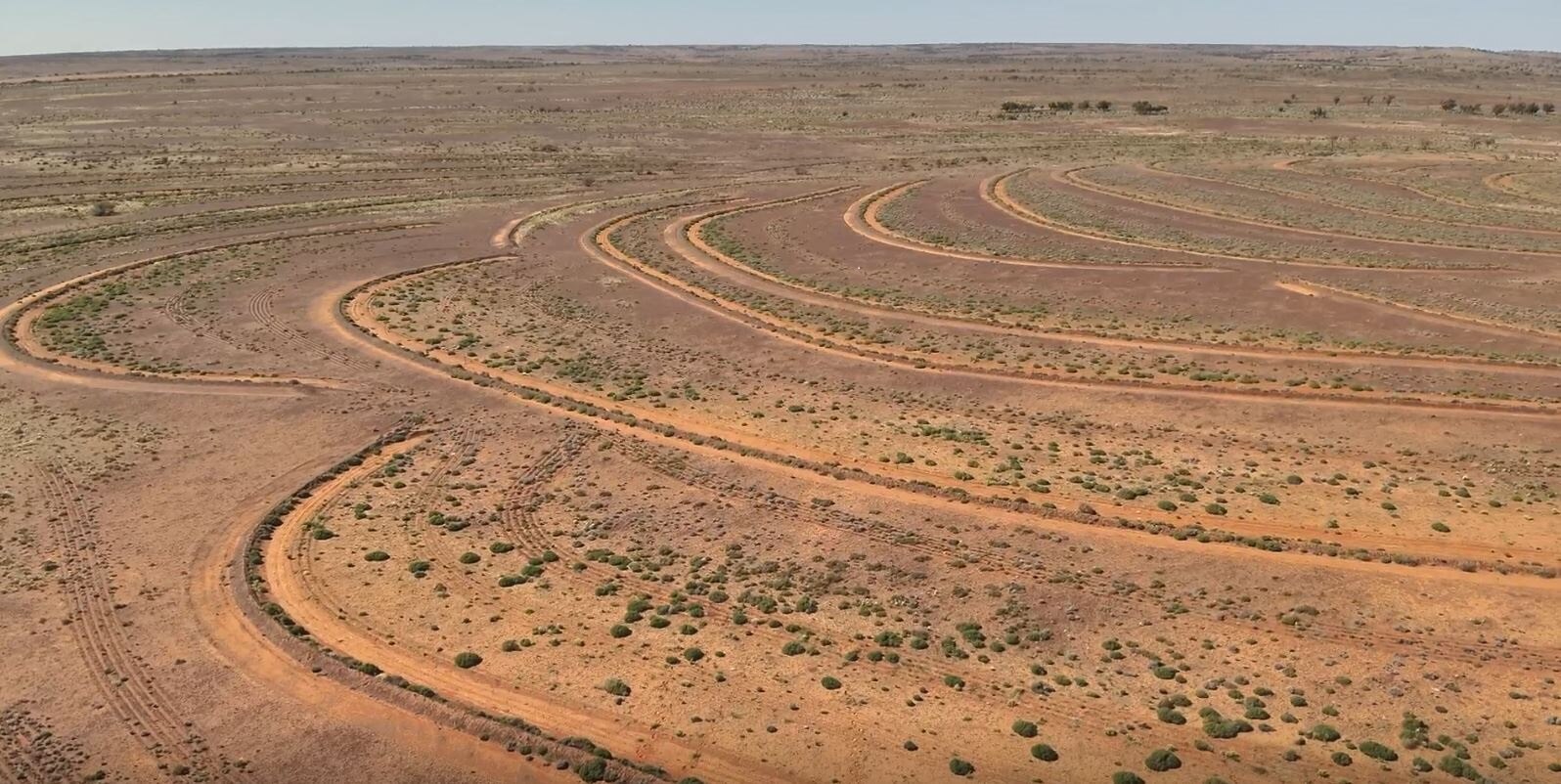 Farmers in arid region re-introduce native seeds to remote outback ...