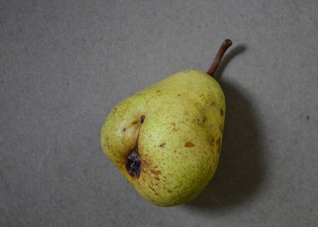 Horticulture industry wants retailers and consumers to place higher ...