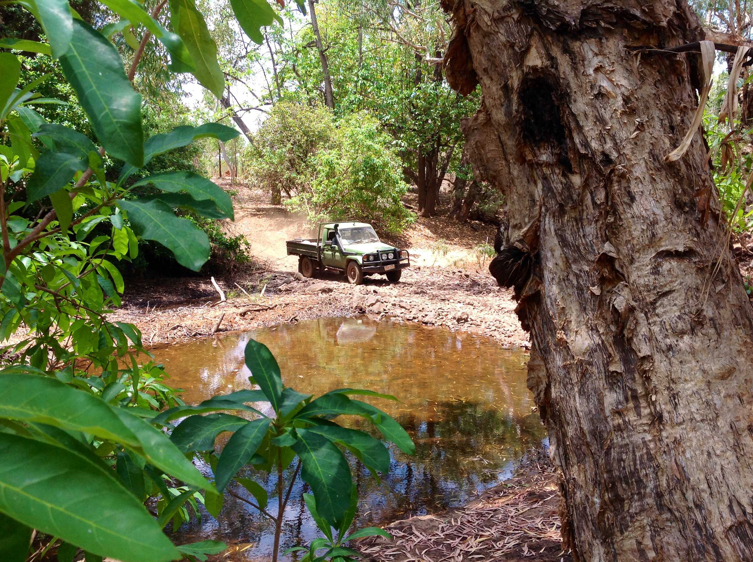 Tough times for beef producer family who struggled with live cattle ...