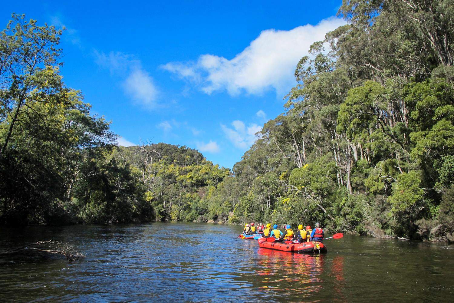 Bush Adventure Therapy helping at-risk teens get lives back on track ...