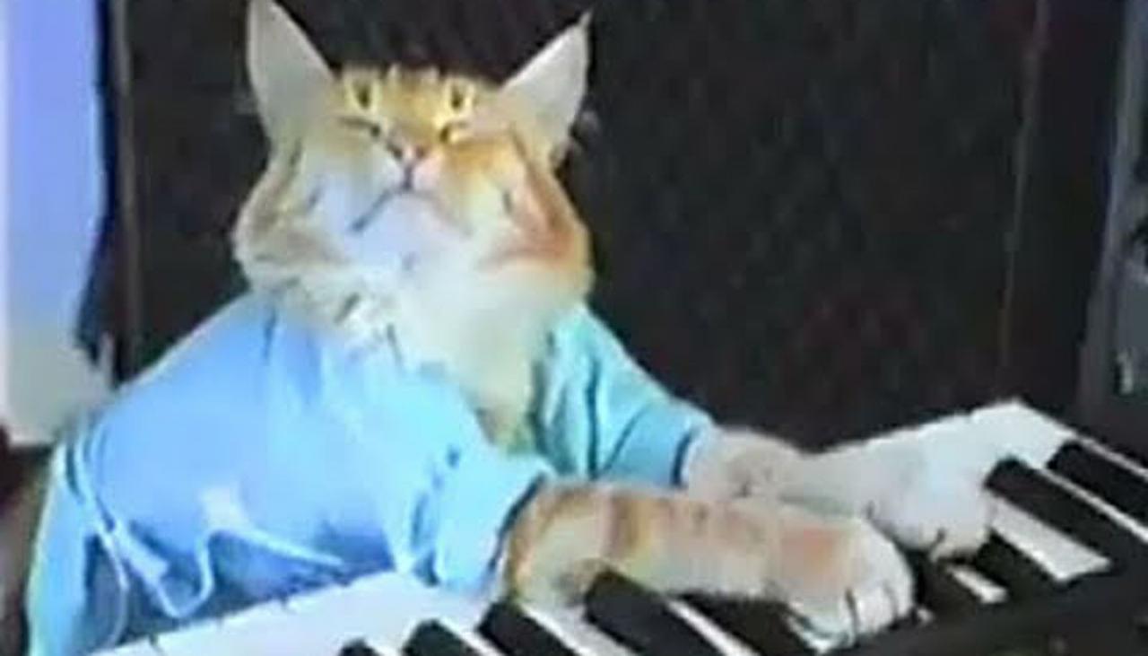 #51: Detroit House, Facebook, RIP Keyboard Cat - ABC listen