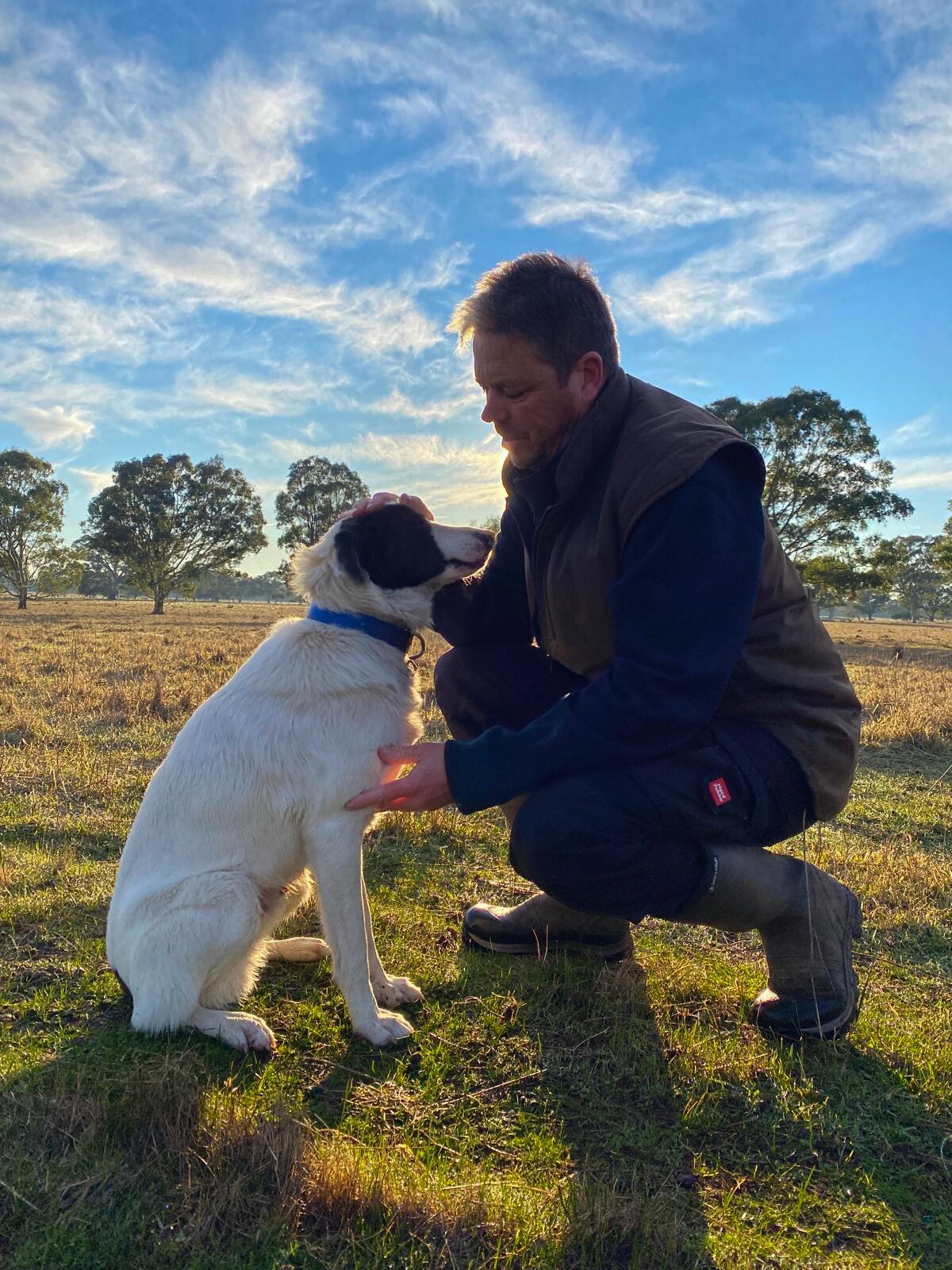 Muster Dogs stars catch us up on life since the series - ABC News