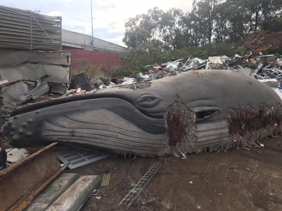Whale prop used in Hollywood film turns heads on its journey through ...