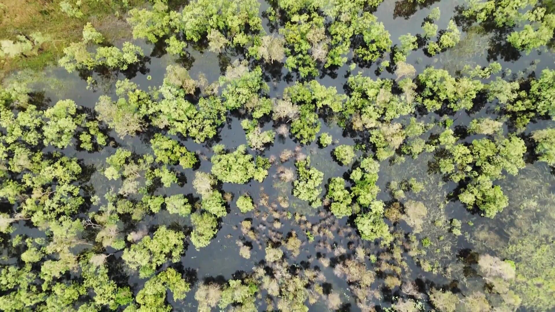 Kakadu National Park wetlands - ABC News