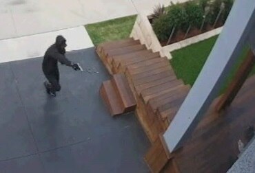 Watch the dramatic moment gunman shoots, and misses, target at close ...