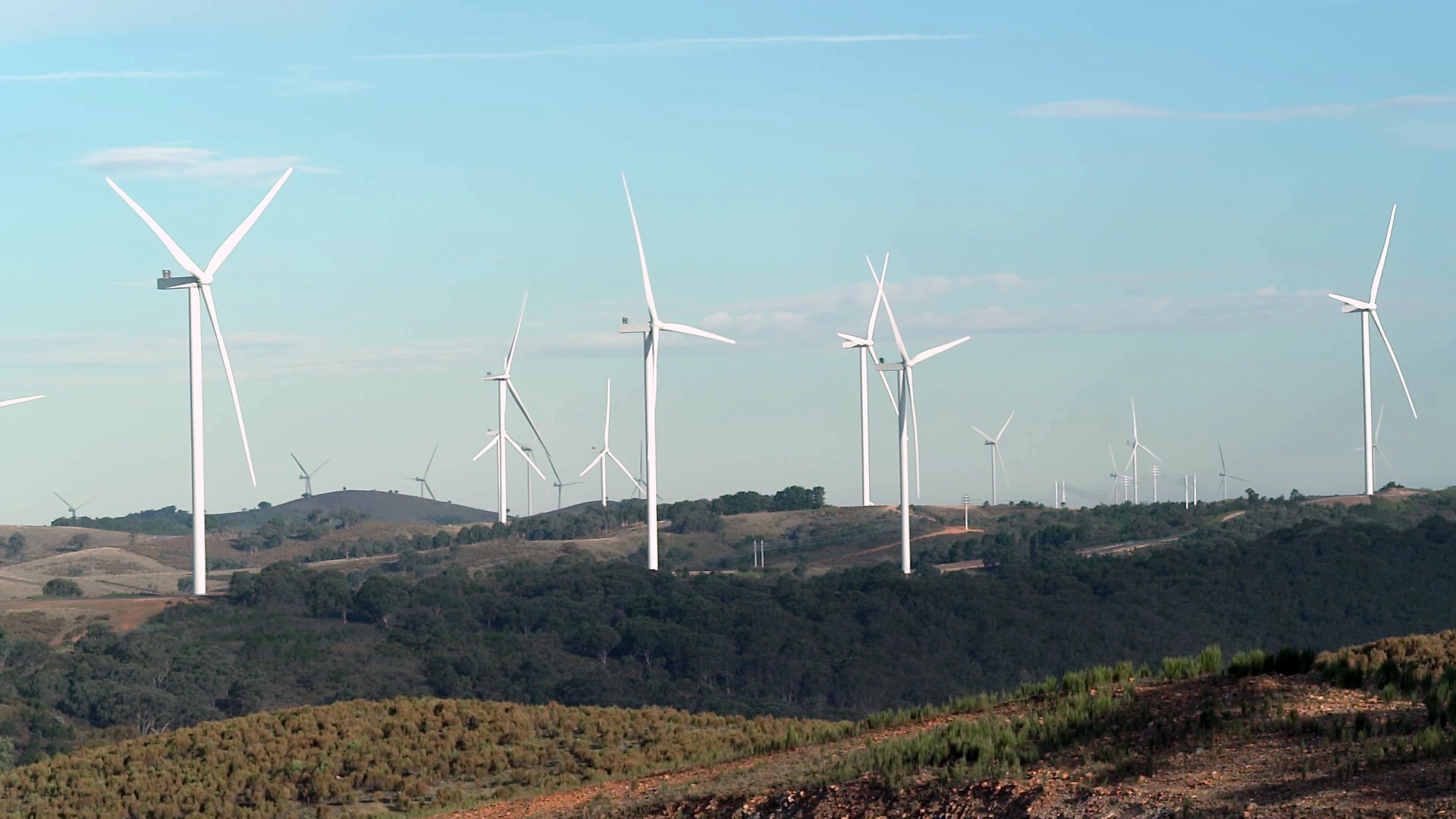 The anti-windfarm 'odd couple' joining forces to fight the renewable ...