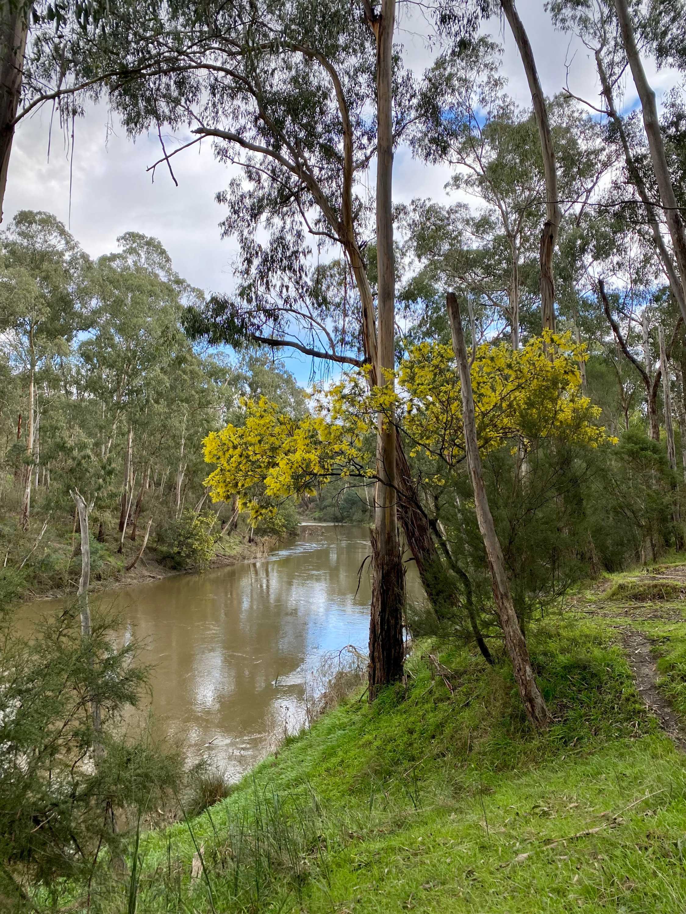 The river visitor making a splash - ABC listen