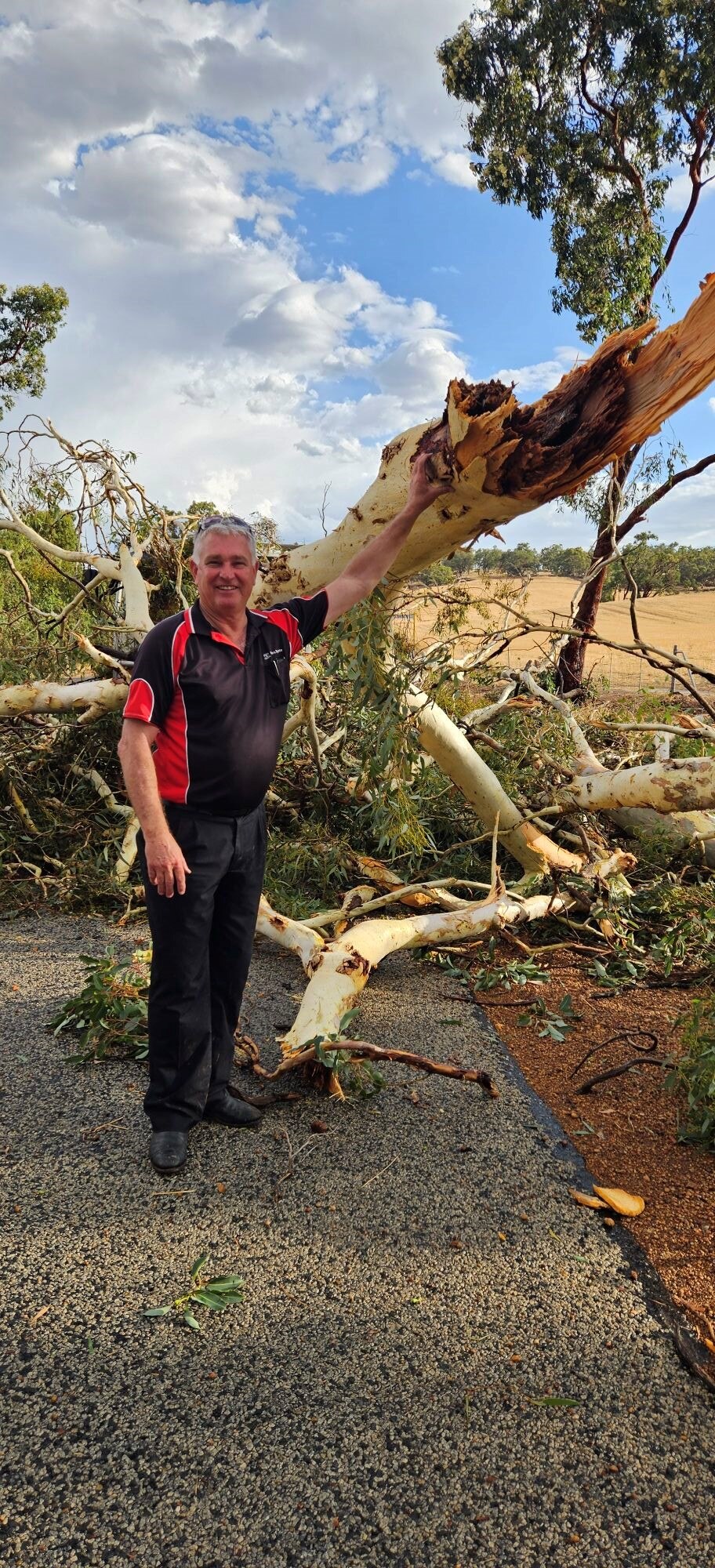 Perth Hills storm that damaged homes was 'microburst', not tornado, BOM ...