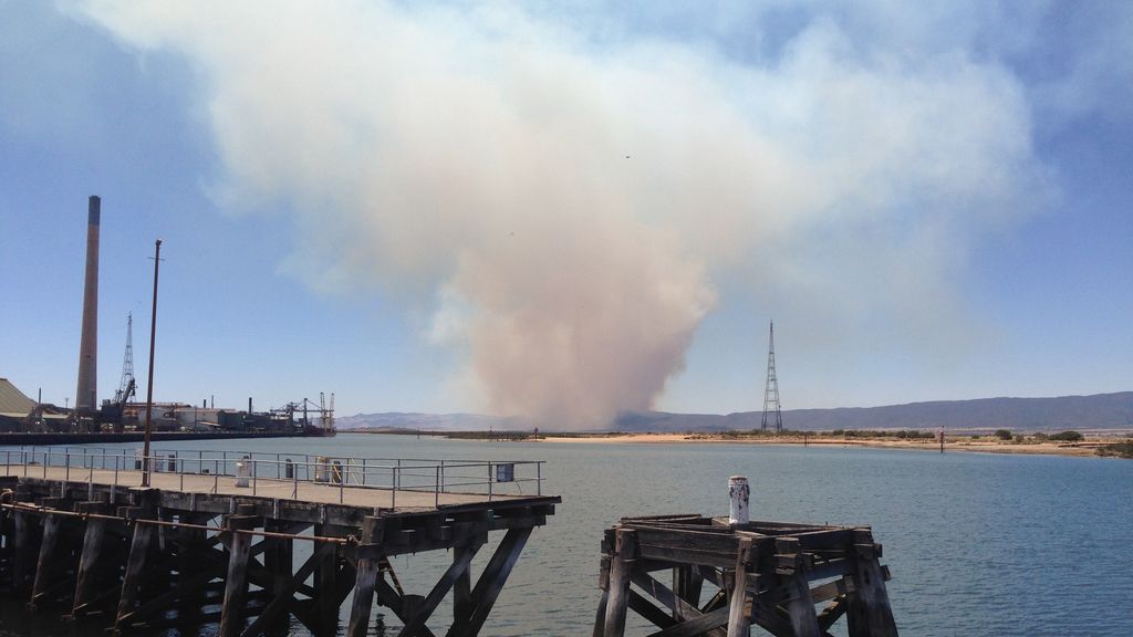 CFS spread across SA as threat worsens - ABC News