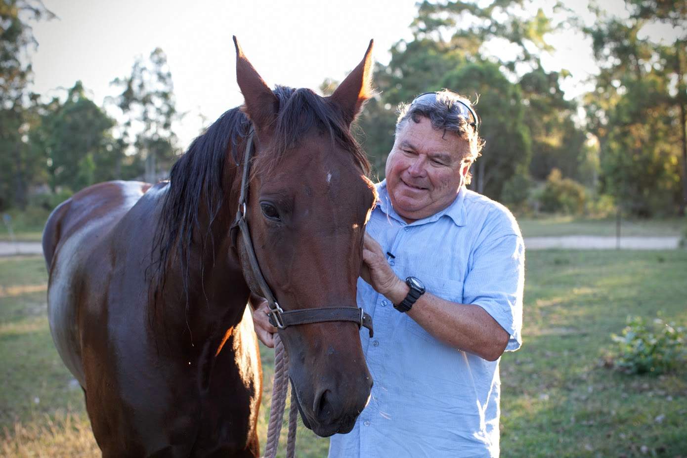 A night at the trots: Harness racer Danny keeps the game alive - ABC News