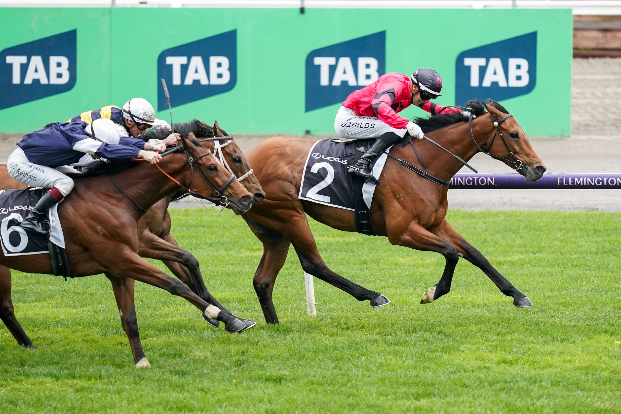 Melbourne Cup 2024 field, horses, form guide and finishing order - ABC News