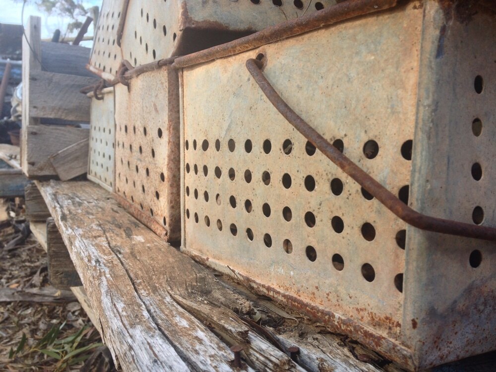 Vintage dip tin collection stacks up - ABC News