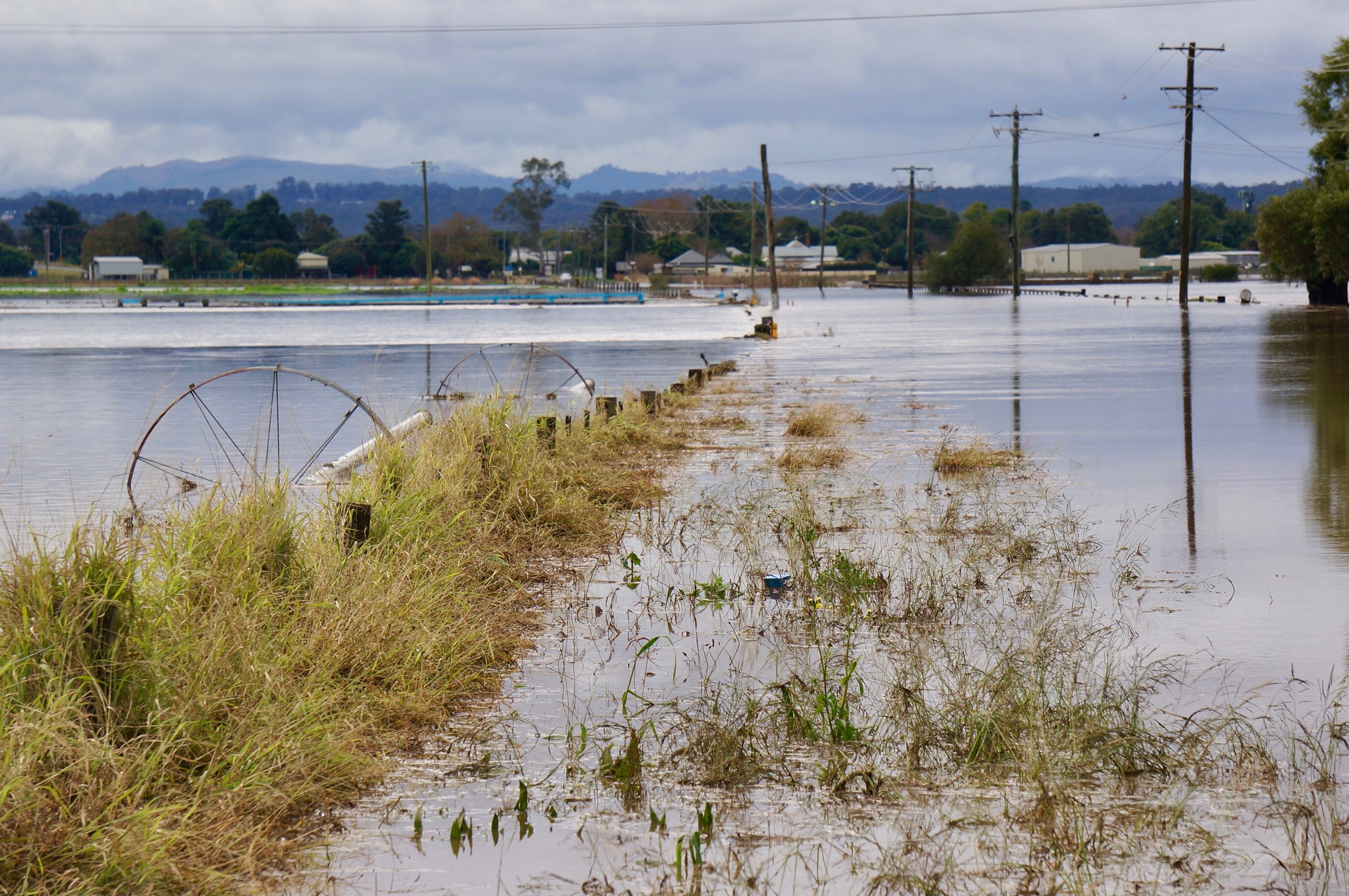 Farmers assess devastation of Hunter Valley flood - ABC listen
