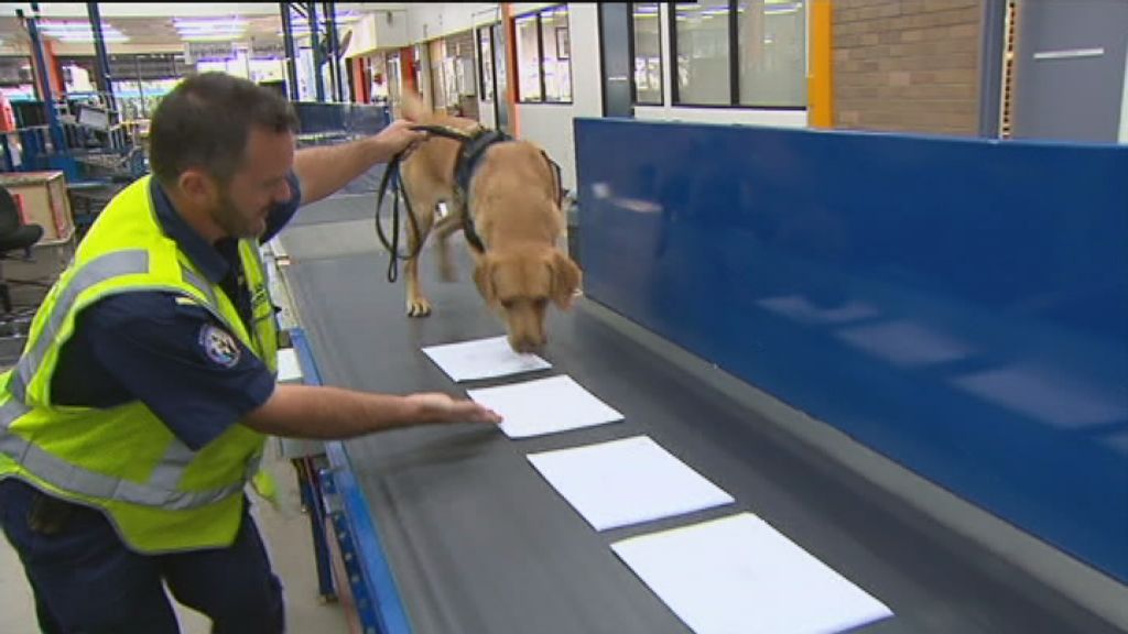 Government announces new measures to crack down on Customs corruption ...