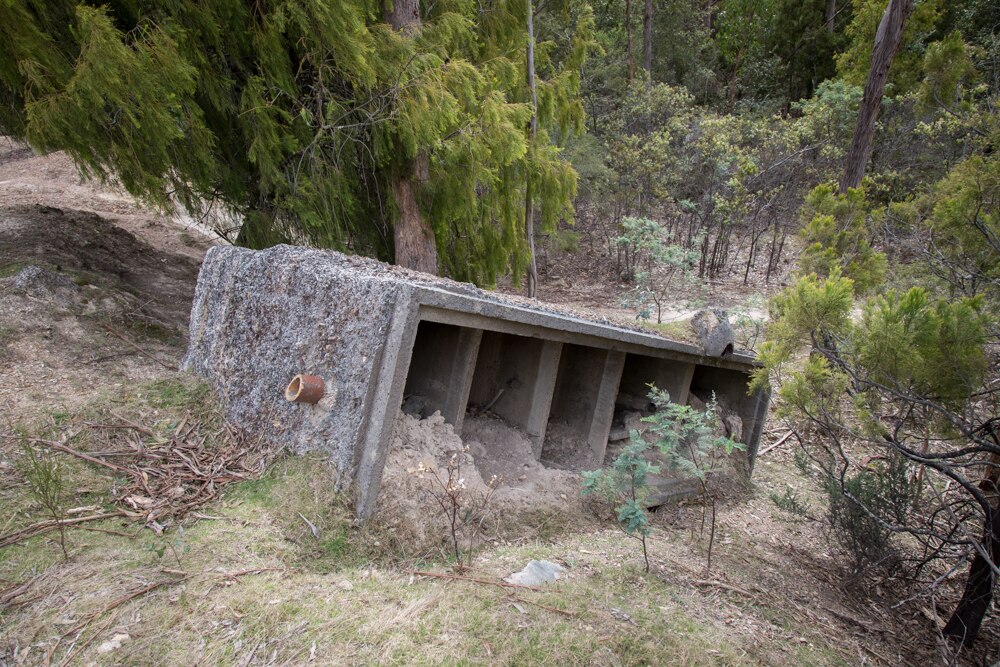 Camouflaged wartime history of Air Force Gully unveiled by Tasmanian ...