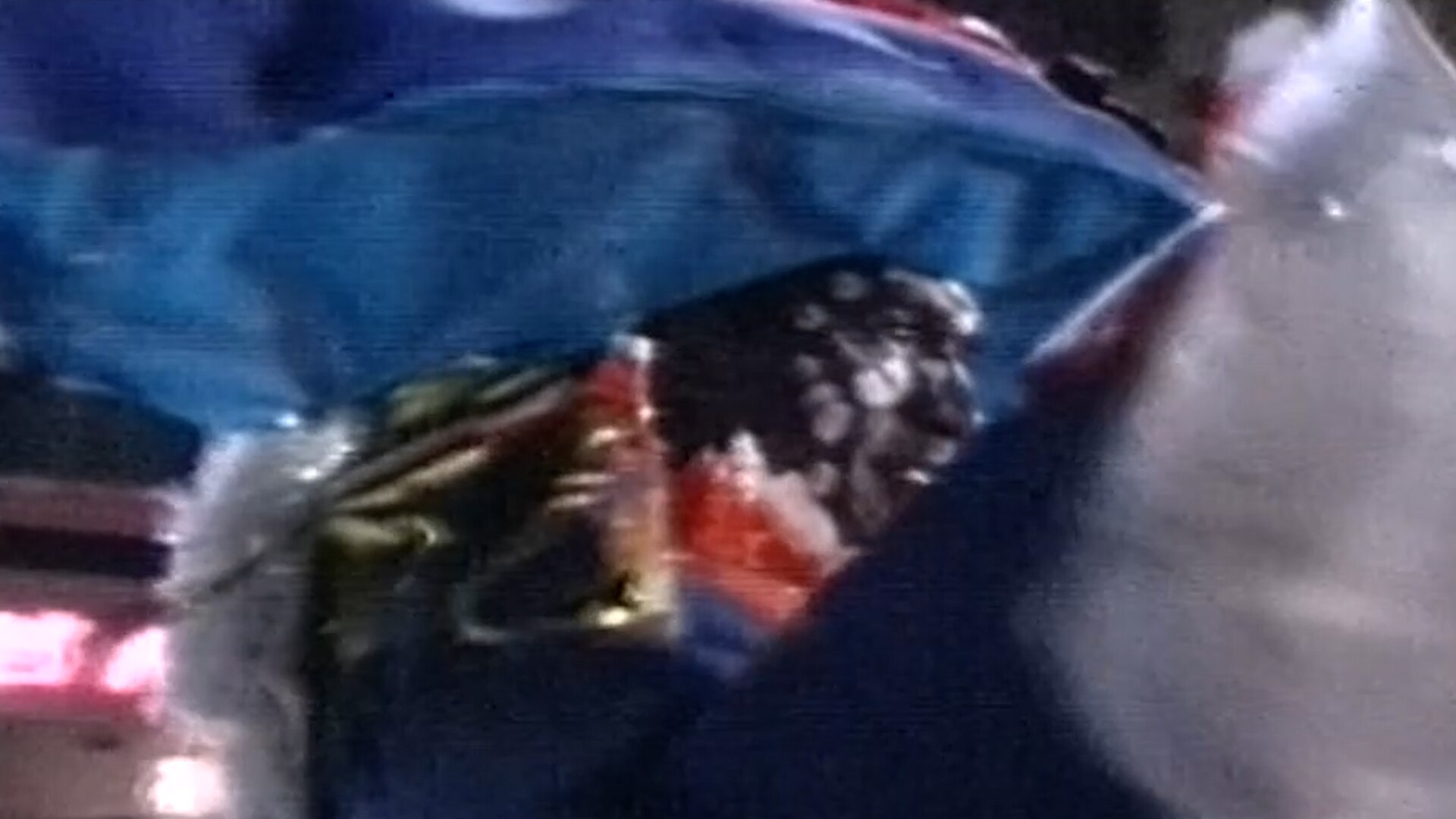 The first-ever Indigenous float at Mardi Gras in 1988. - ABC News