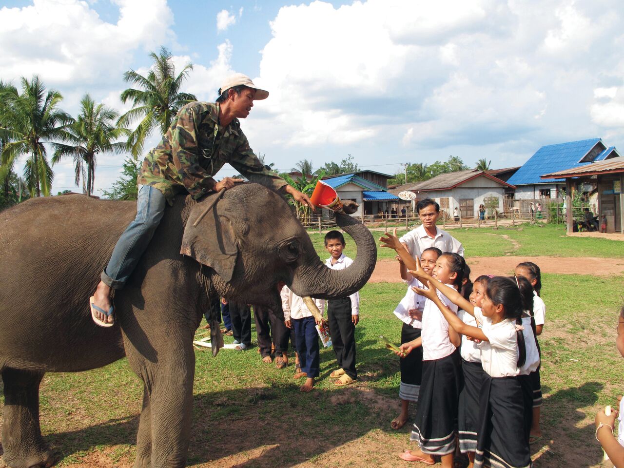 Elephant caravan treks across Laos on mission to stave off extinction ...
