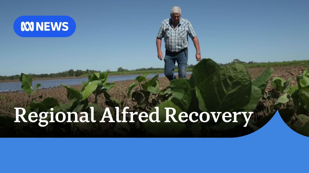 Recovery response to ex-Cyclone Alfred turns to regions - ABC News