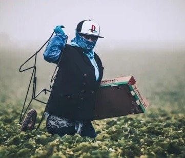 PALM workers fear consequences of ‘speaking up’ at work - ABC Pacific