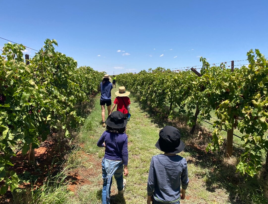 NT Country Hour - ABC listen