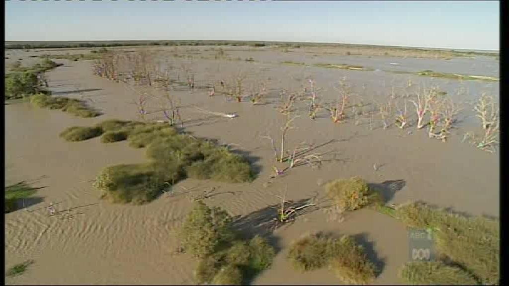 Menindee Lakes boosted by floods - ABC News