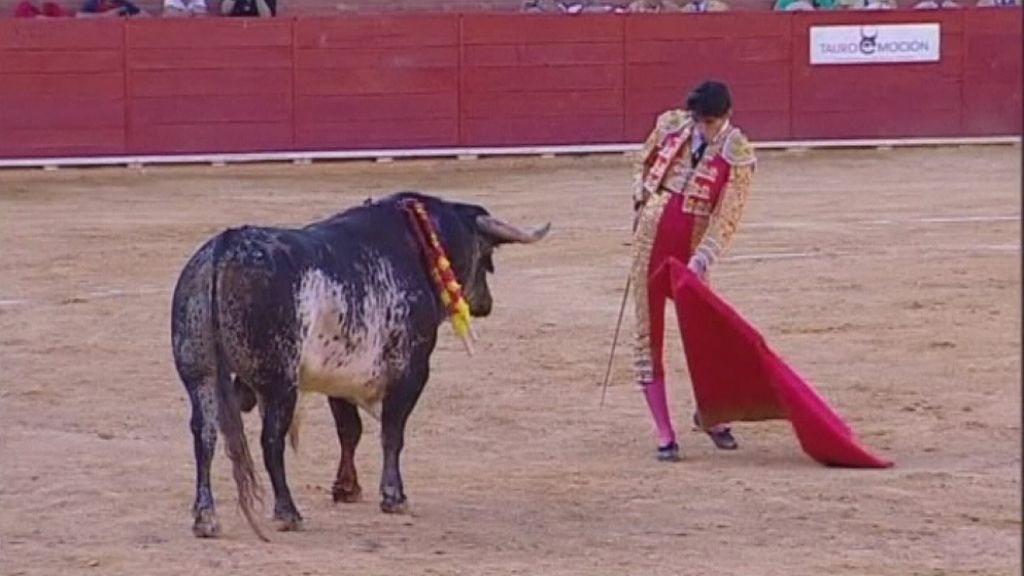 Bullfighter Victor Barrio's dies in ring - ABC News