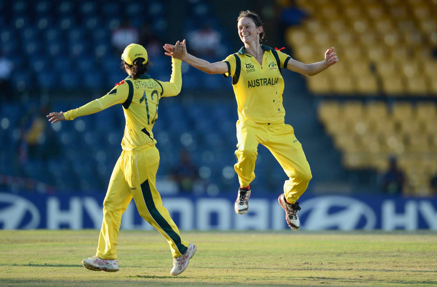 Cow Corner - ABC News