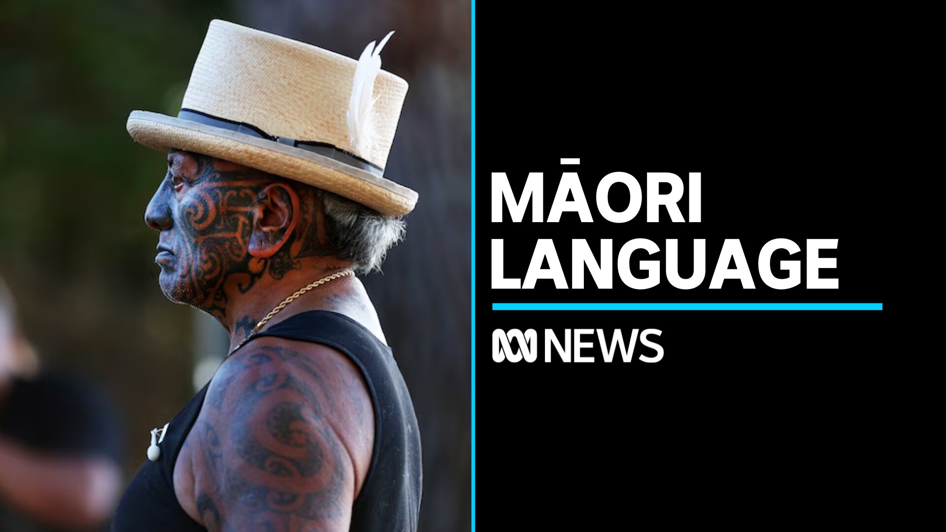 Māori culture threatened under changed policies by NZ government - ABC News