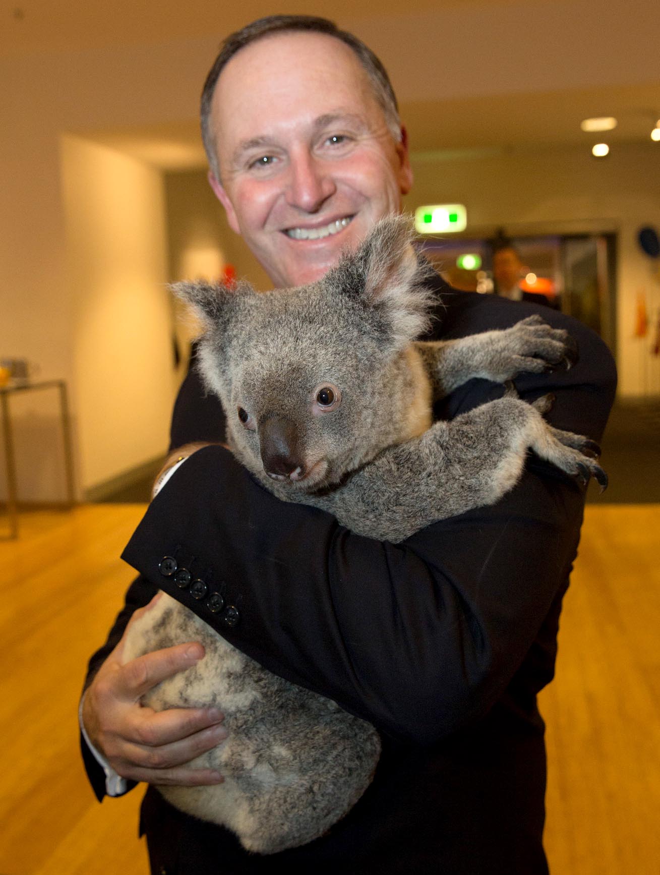 G20 Brisbane: World leaders meet koalas in a leaders' summit excursion ...
