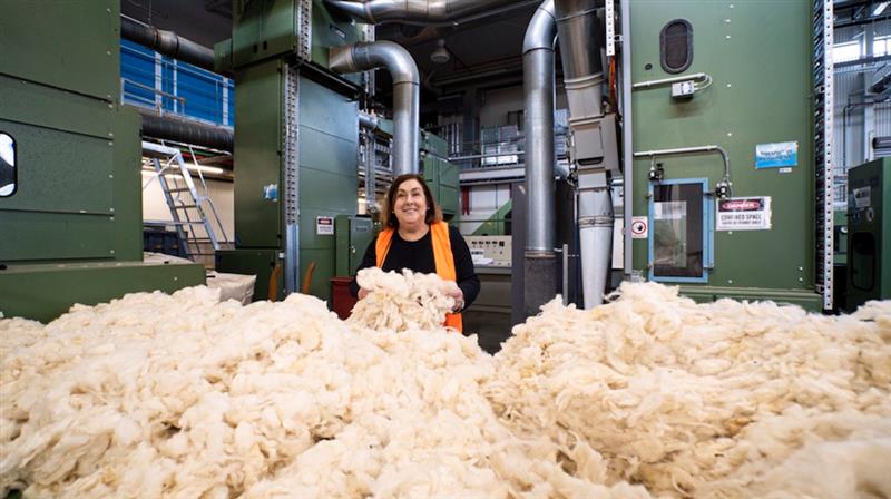 Waste not want not: Low-grade wool in high value solutions - ABC News