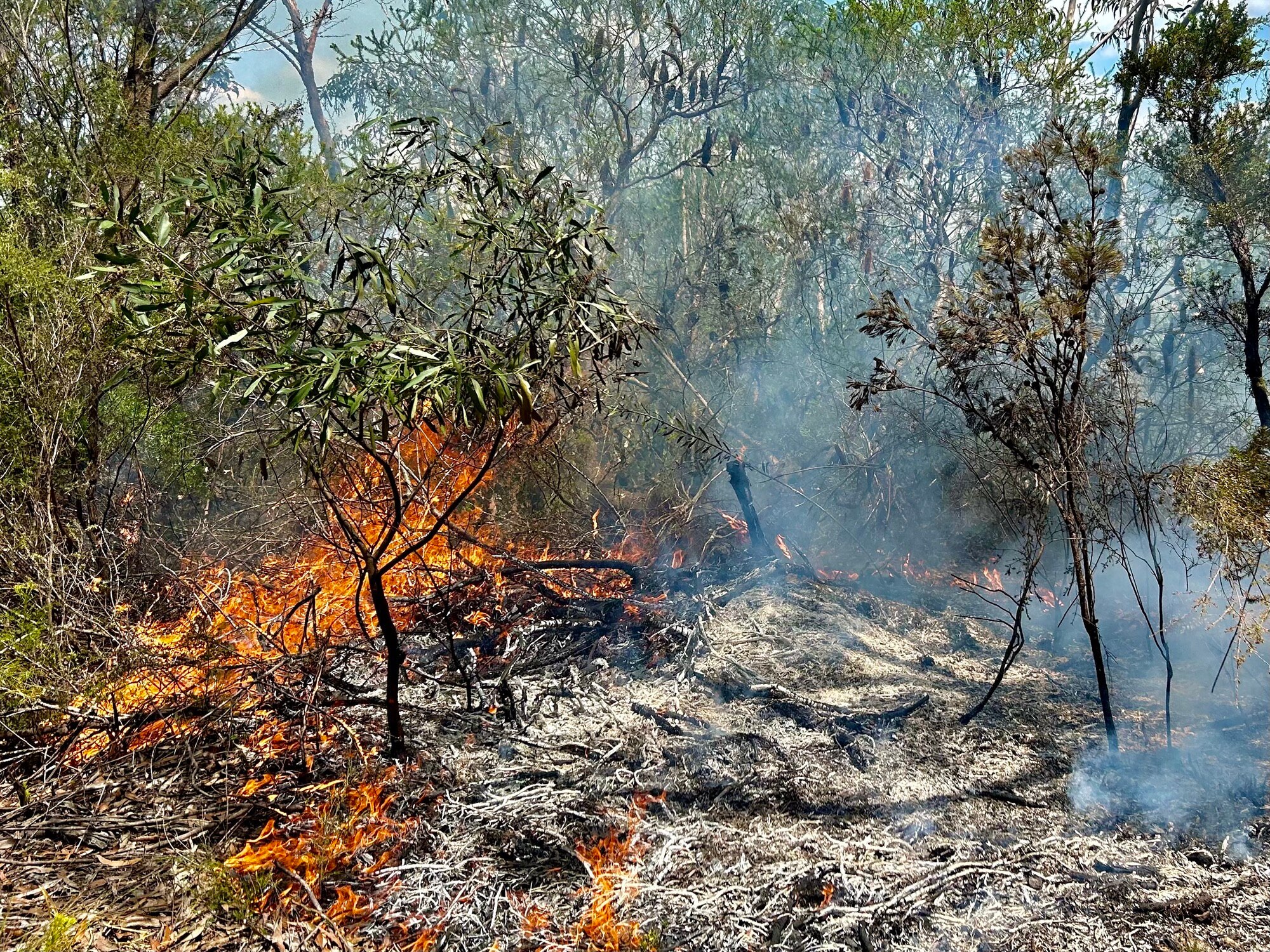 The maps that could 'revolutionise' how Australia handles bushfire risk ...