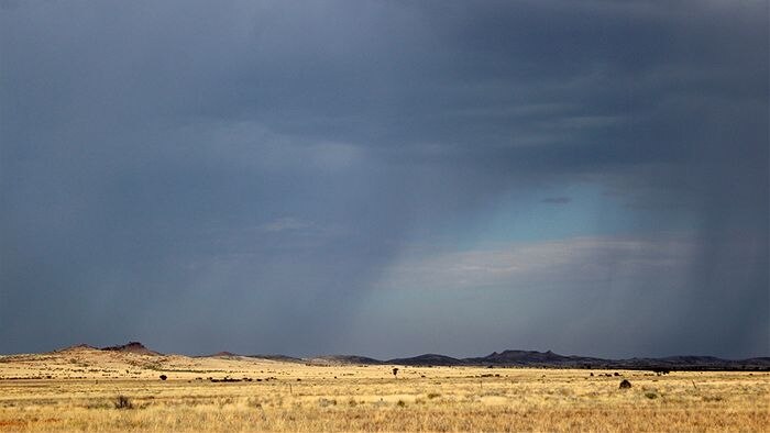 Soils For Life focuses on capturing more rain through better land ...