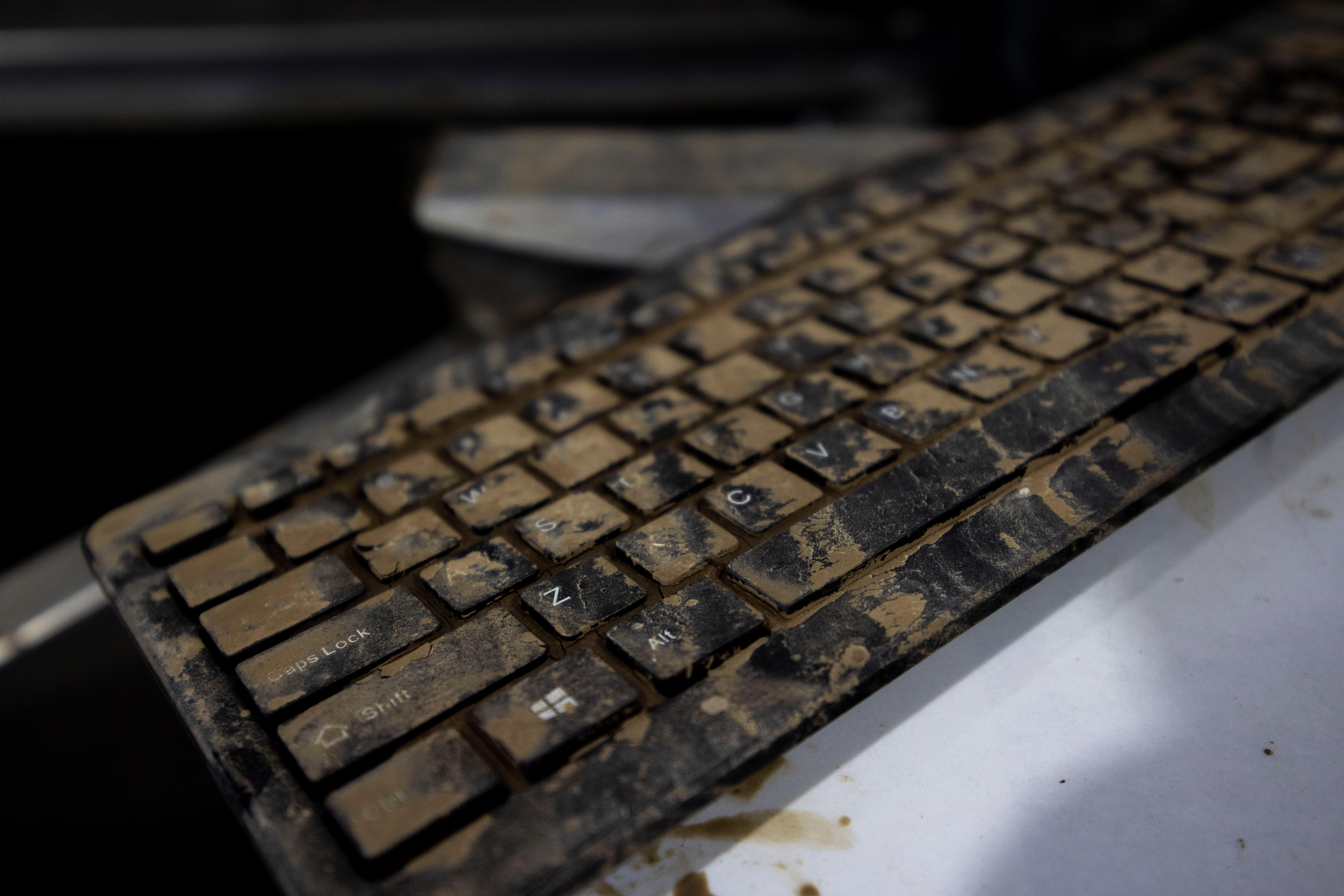 Oyster farmers hopeful after record floodwater opens Manning River ...